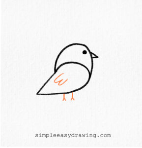 How to Draw a Bird Step by Step: A Beginner's Tutorial