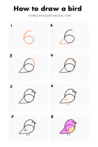 How to Draw a Bird Step by Step: A Beginner's Tutorial