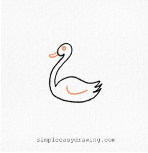 How to Draw a Swan step by step | Simple Easy Drawing
