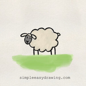 How to Draw a Sheep Step by Step | Simple Easy Drawing