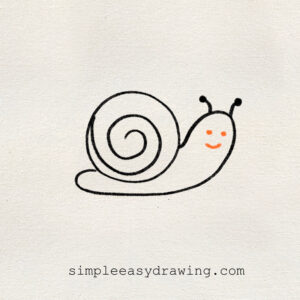 How to Draw a Snail Step by Step | Simple Easy Drawing
