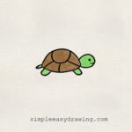 How to Draw a Turtle Step by Step | Simple Easy Drawing