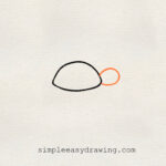 How to Draw a Turtle Step by Step | Simple Easy Drawing