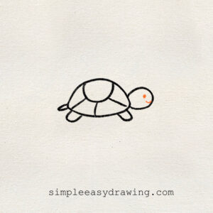 How to Draw a Turtle Step by Step | Simple Easy Drawing